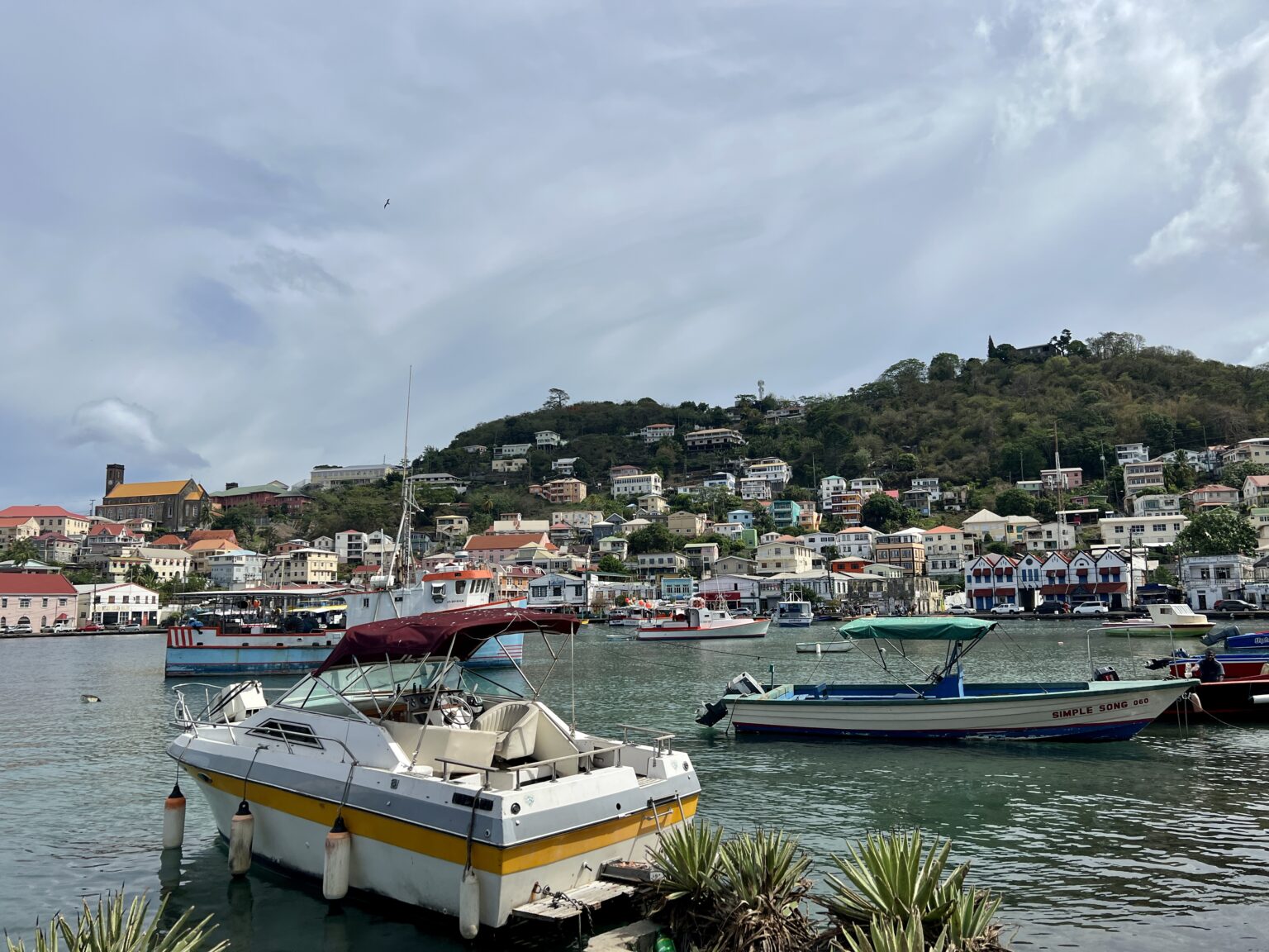 Why Should You Book a Family Vacation To Grenada?