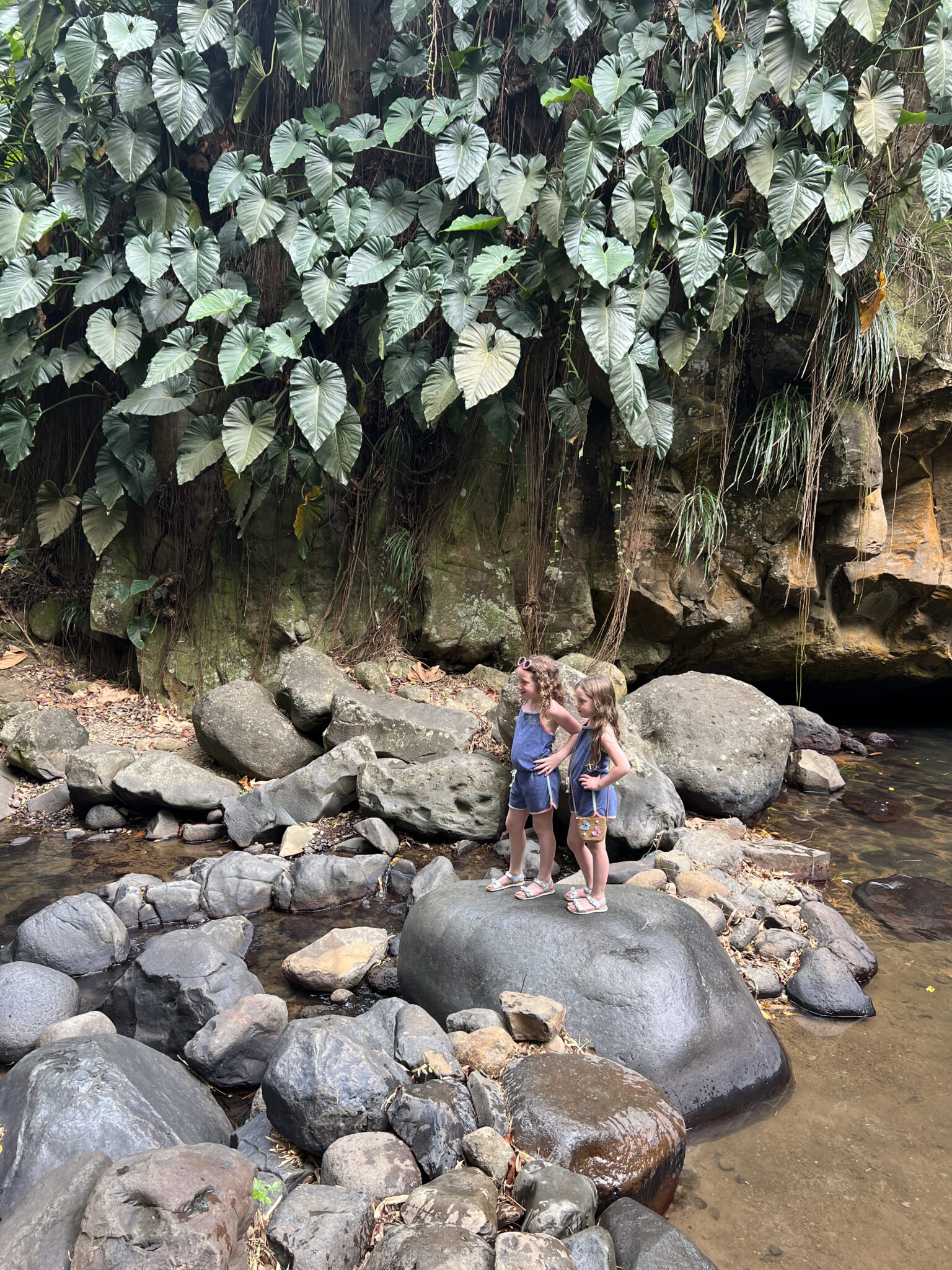 Why Should You Book a Family Vacation To Grenada?